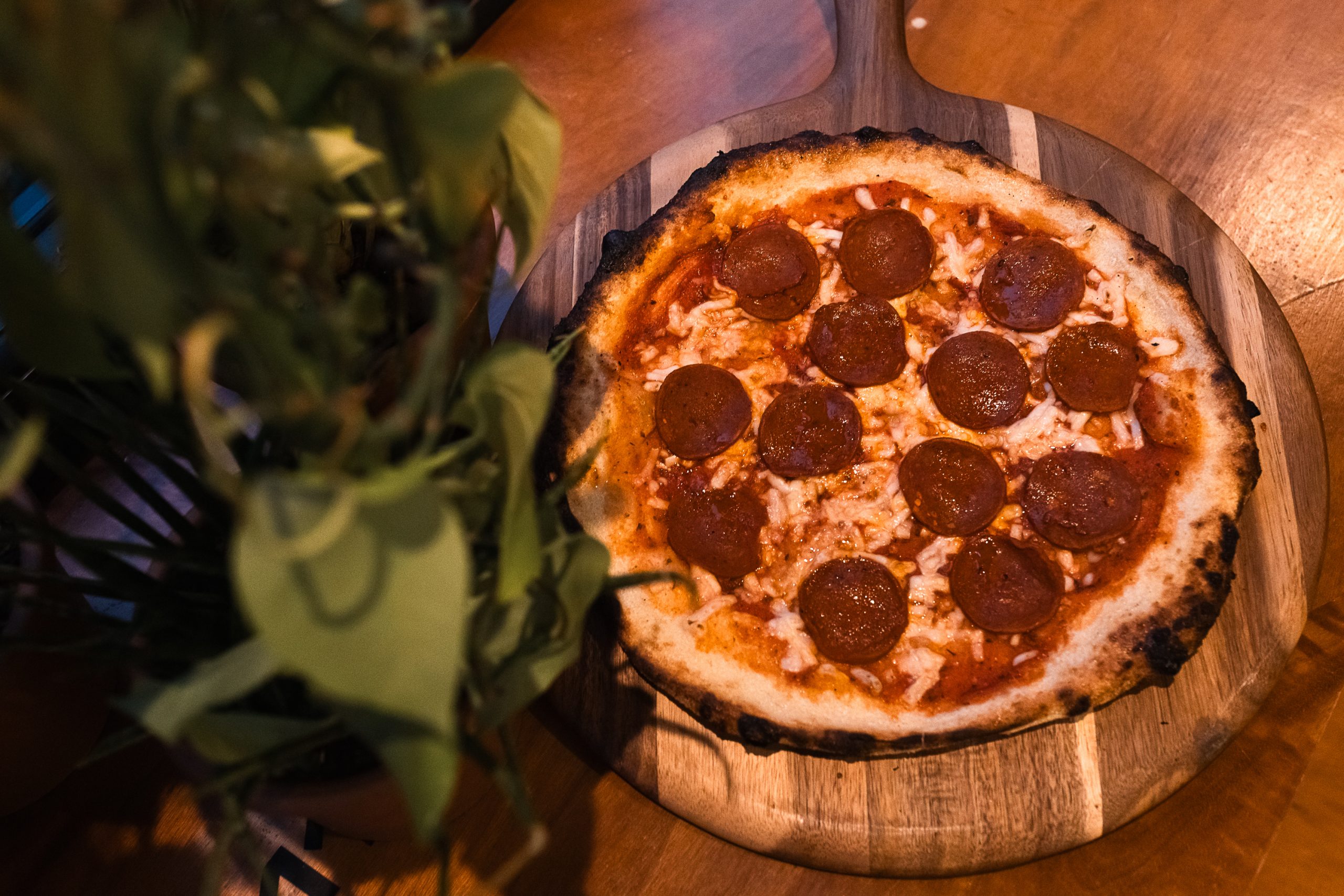Kitchen | Sustainable Pizza | Future Yard